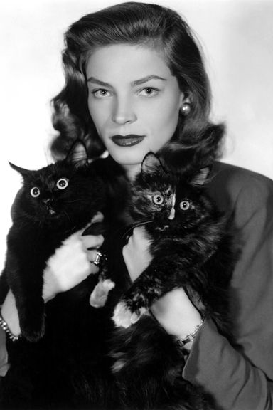 The 50 Most Fabulous (and Famous) Cat Ladies of All Time