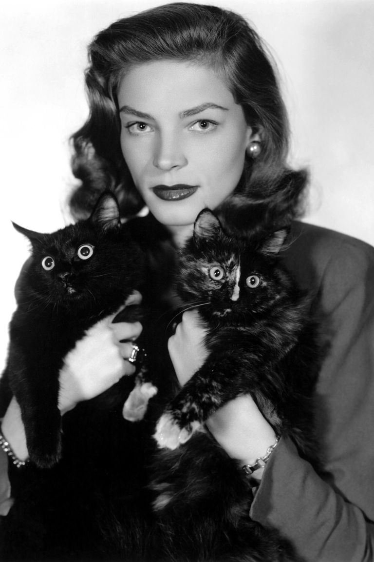The 50 Most Fabulous (and Famous) Cat Ladies of All Time