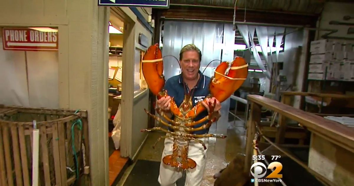 Restaurant Owner Won’t Let Anyone Eat His 23-Pound Lobster