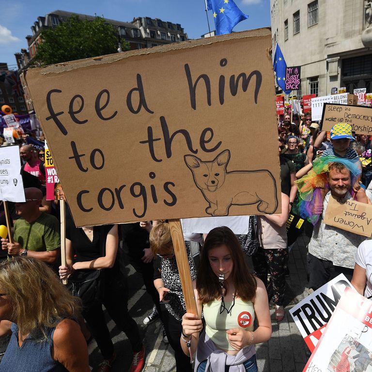 The Best Signs From the London Trump Protest