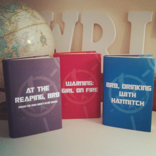 Check Out Some Homemade Hunger Games–Inspired Dust Jackets