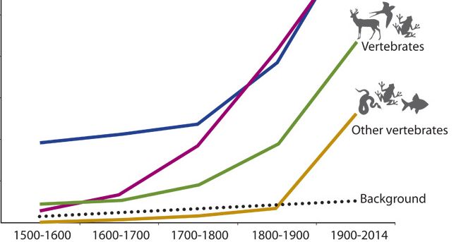 The Sixth Mass Extinction May Actually Be Here