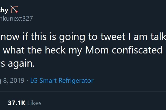Teen Tweets from 3DS, Fridge After Phone Gets Confiscated