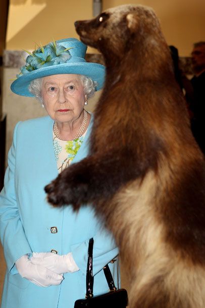 See Queen Elizabeth With Corgis, a Panda, Elephants, and Other Animals