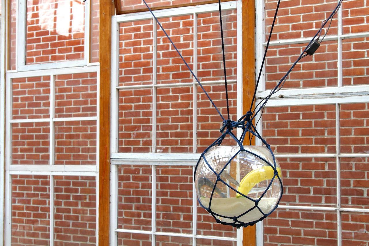 ‘Carry That Weight’ Artist Emma Sulkowicz Has Exhibition