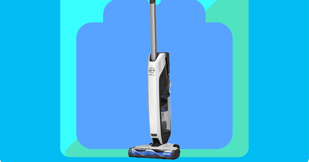 Hoover Evolve Pet Vacuum Sale | The Strategist