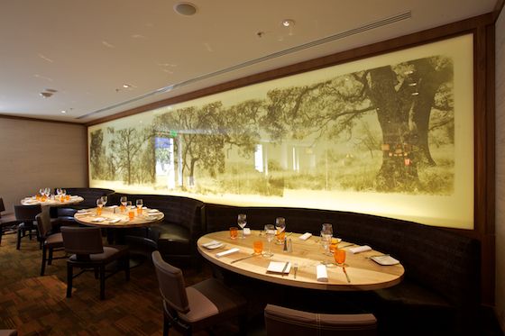 Step Inside Parallel 37, Opening Monday at the Ritz