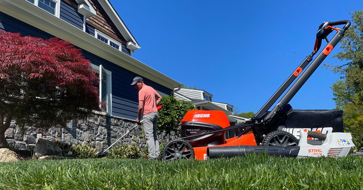 Best Battery-Powered Yard Tools | The Strategist