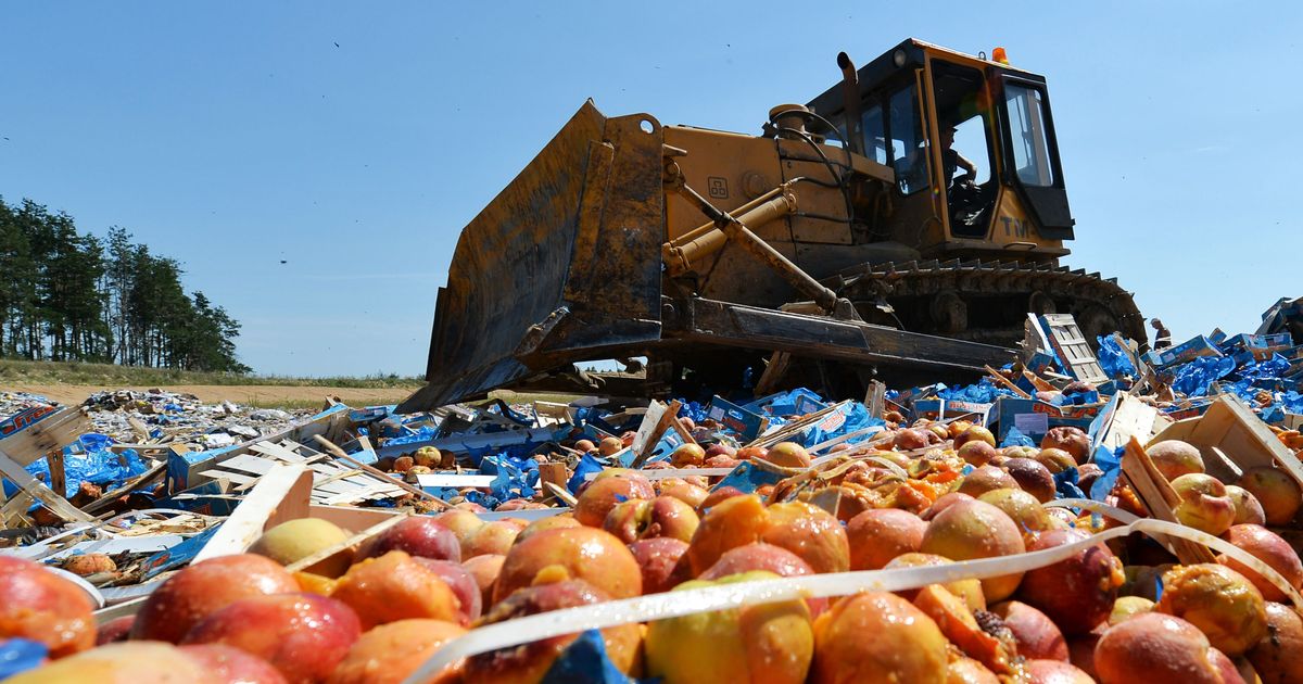 Russia’s Food Destruction Is Totally Out of Control