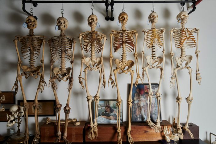 Jon Pichaya Ferry, the Human Bones Seller of Bushwick