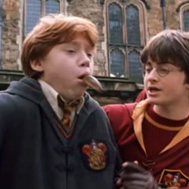 Highlights of Hogwarts: Harry Potter’s Best Spells, Coolest Creatures ...