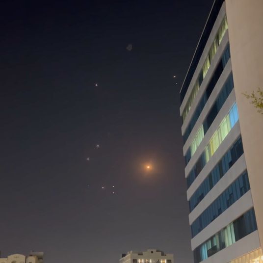 There’s Something About a Bode Boy