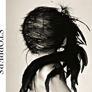 Phyllis Posnick Stoppers: Photographs from My Life at Vogue