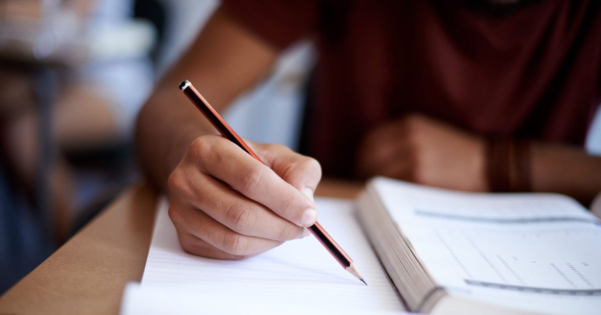 There’s Another Big Window for Learning After Childhood