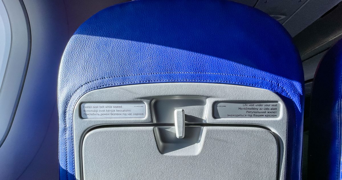 What Is ‘Raw-Dogging’ a Flight? Health Risks, Explained