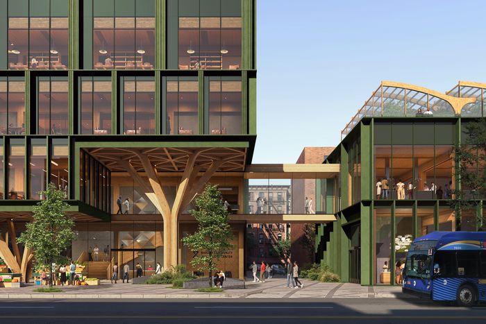 How Mass Timber Could Revolutionize Construction in NYC