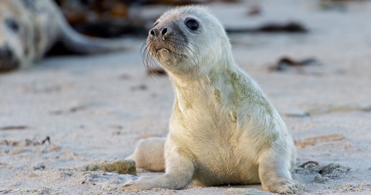 Ask Polly: ‘My Dream Man Moved On. Should I Wait For Him?’