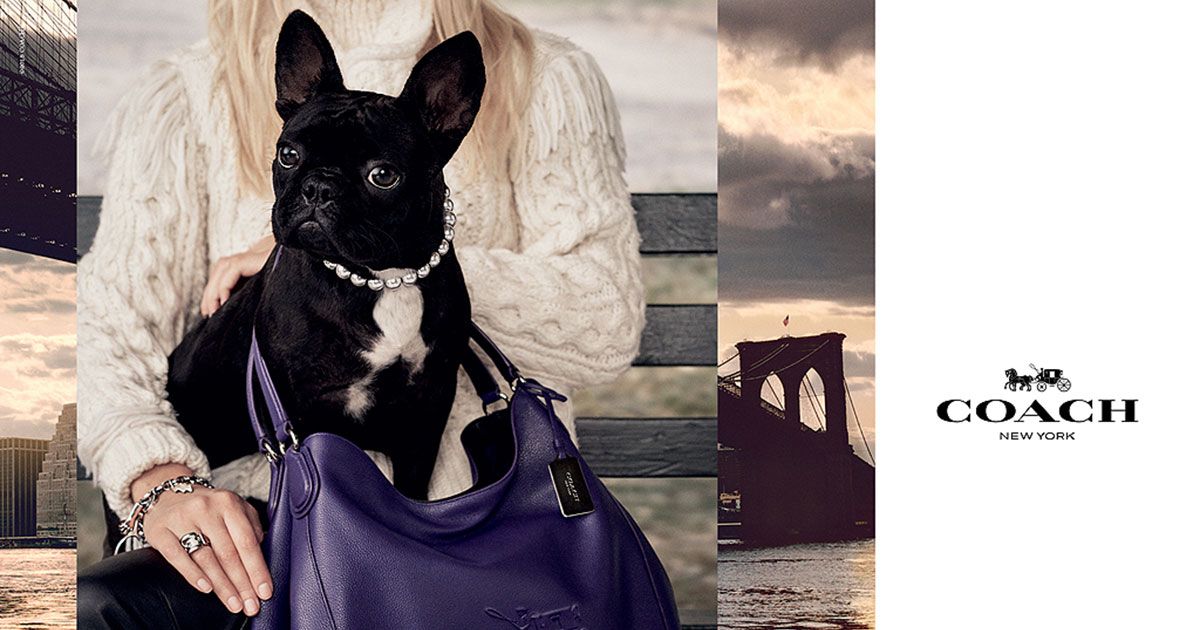 Coach’s New Canine Campaign Was Inspired by Frasier