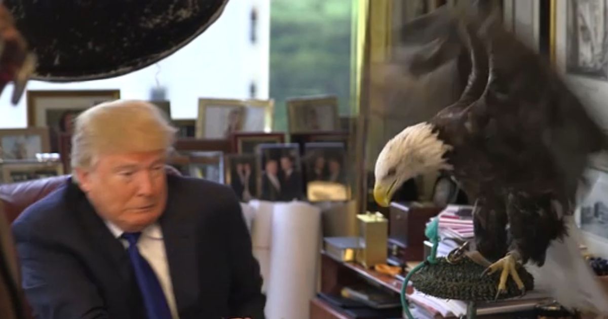 Uncle Sam Went to Donald Trump’s Office and Messed Up His Hair