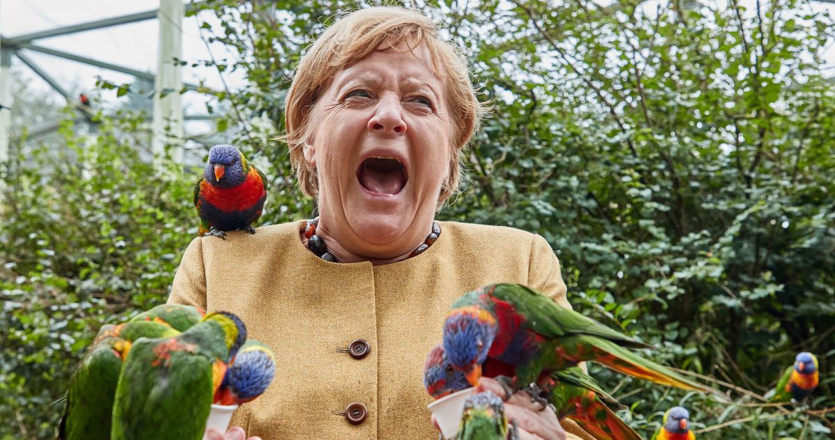 How Does Angela Merkel Feel About These Birds?