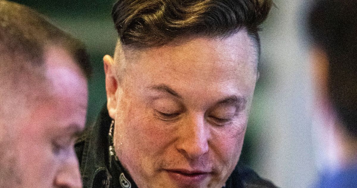 Elon Musk and His Hair Are Time’s Person of the Year