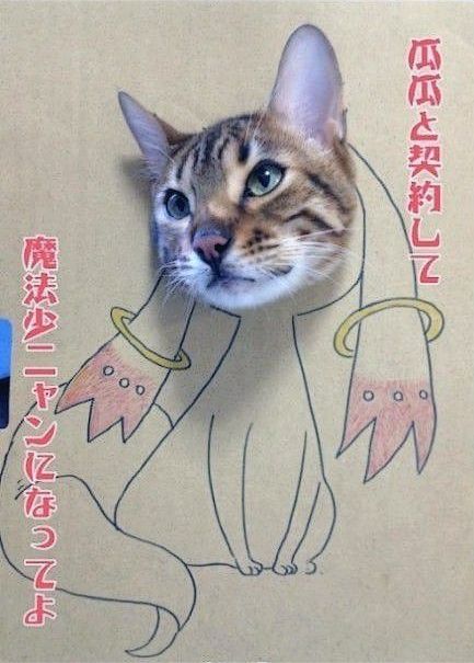 Cat Sticks His Face Through Cardboard, and It’s Art