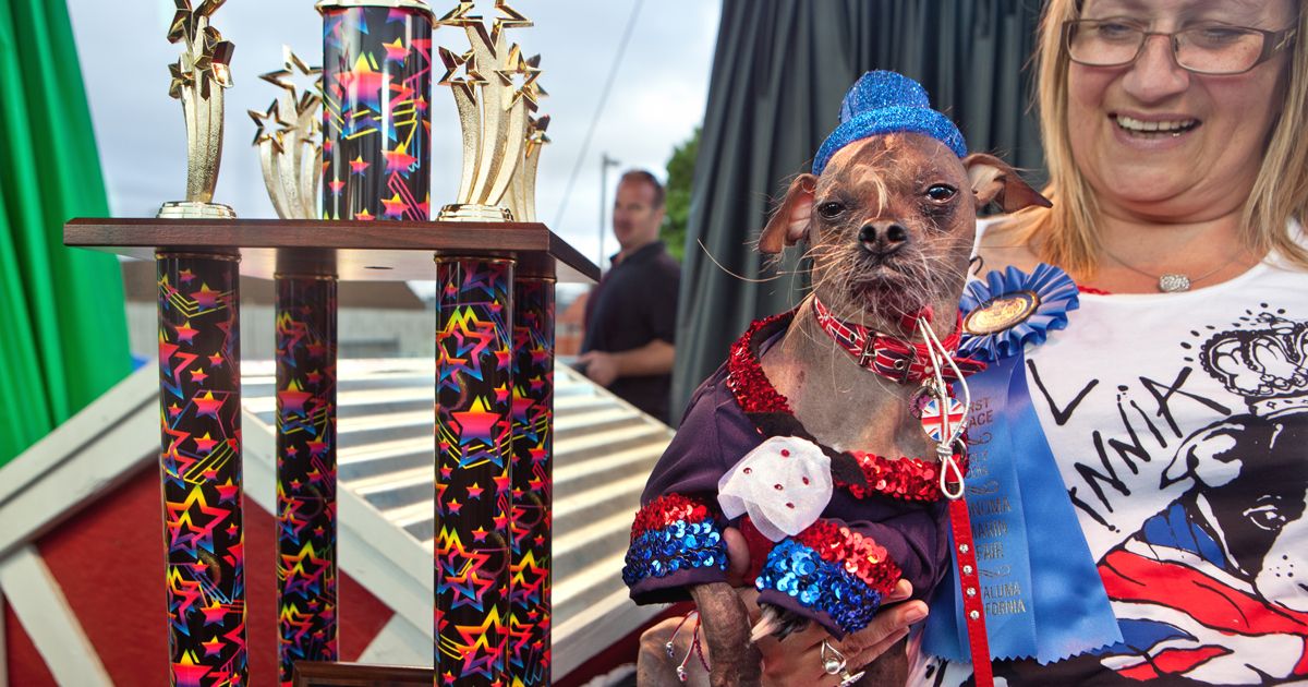 Meet Mugly, the World’s Ugliest Dog