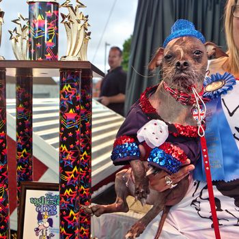 Meet Mugly, the World’s Ugliest Dog