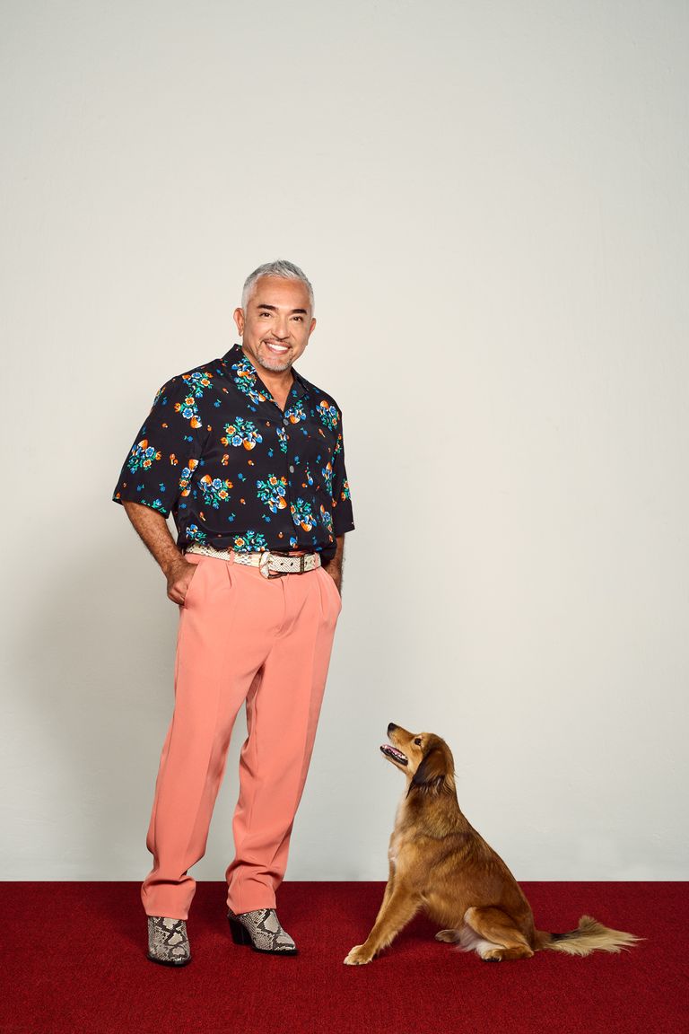 See the Opening Ceremony Spring 2020 Collection