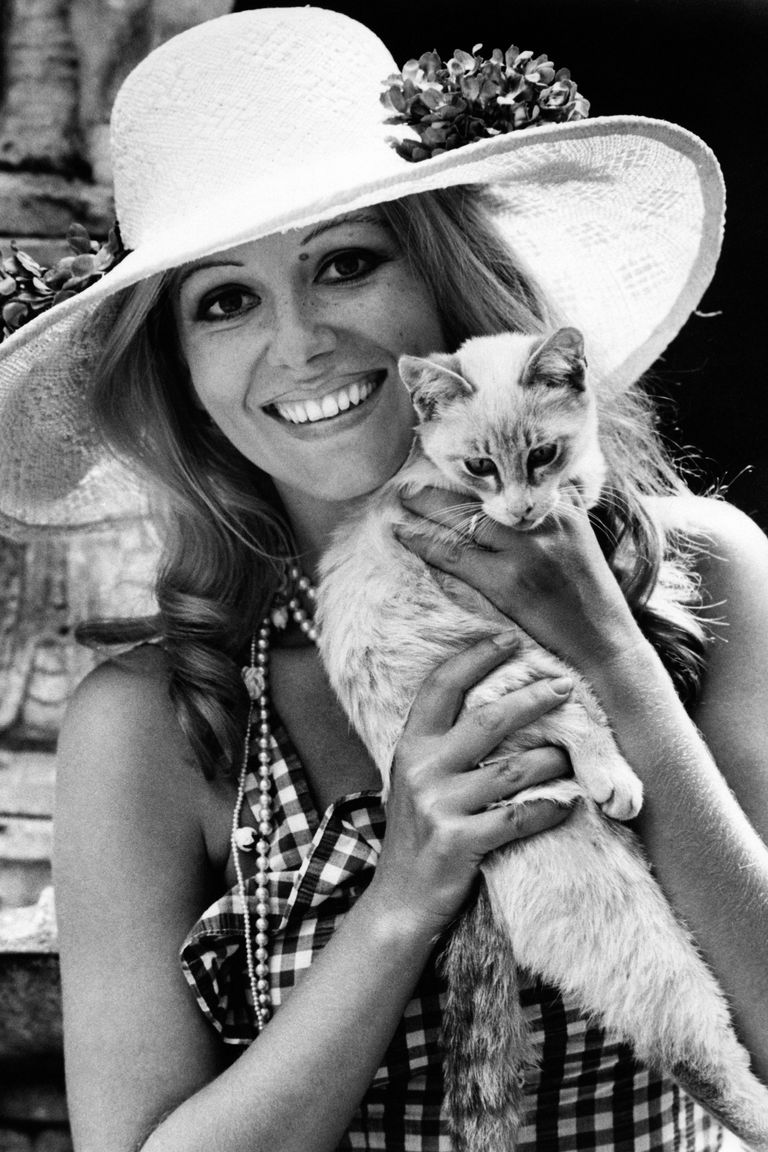 The 50 Most Fabulous (and Famous) Cat Ladies of All Time