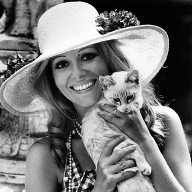 The 50 Most Fabulous (and Famous) Cat Ladies of All Time