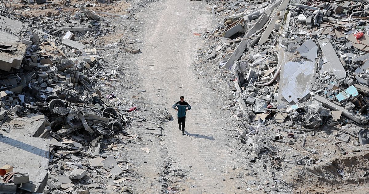 The Case for Bad Readers: On Palestine and Isabella Hammad