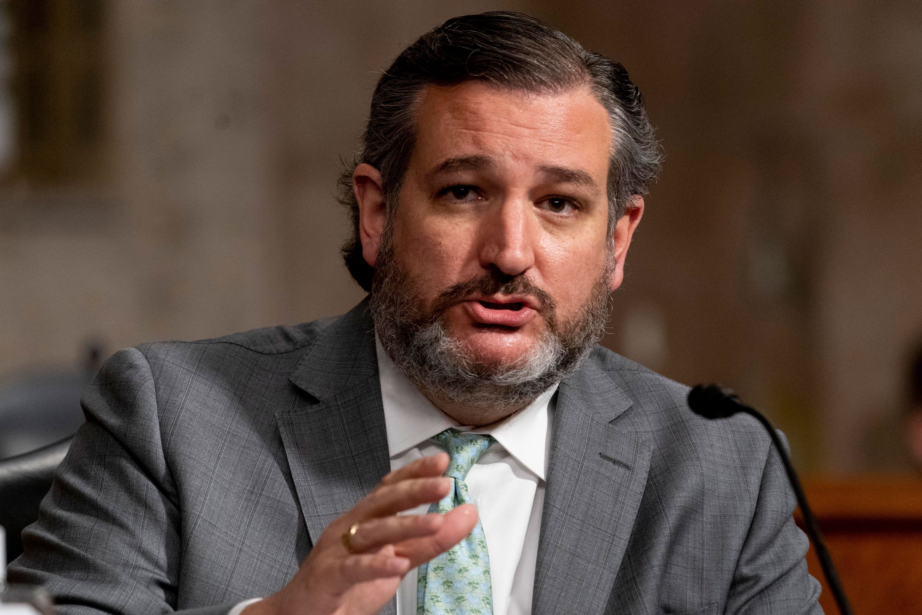 Republican Cruz
