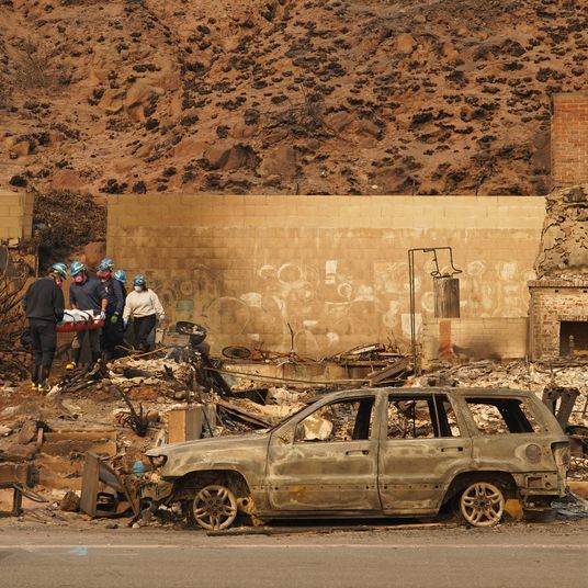 Roll Safe, the Guy-Tapping-Head Meme, Explained