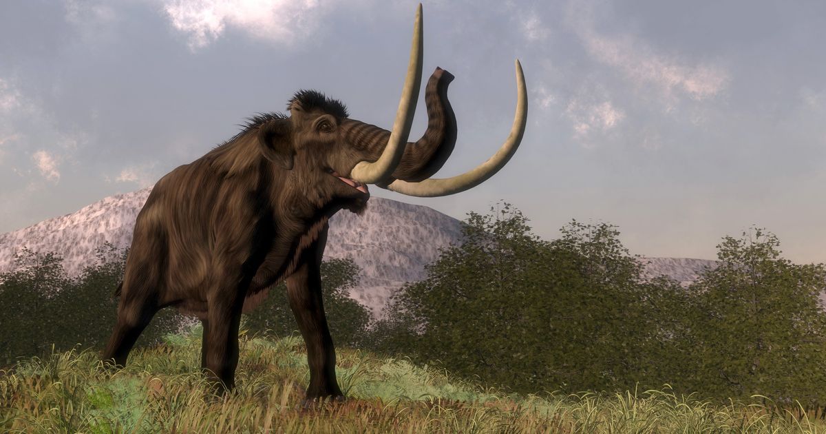 Mastodon Doesn’t Have Nazis. Yet.