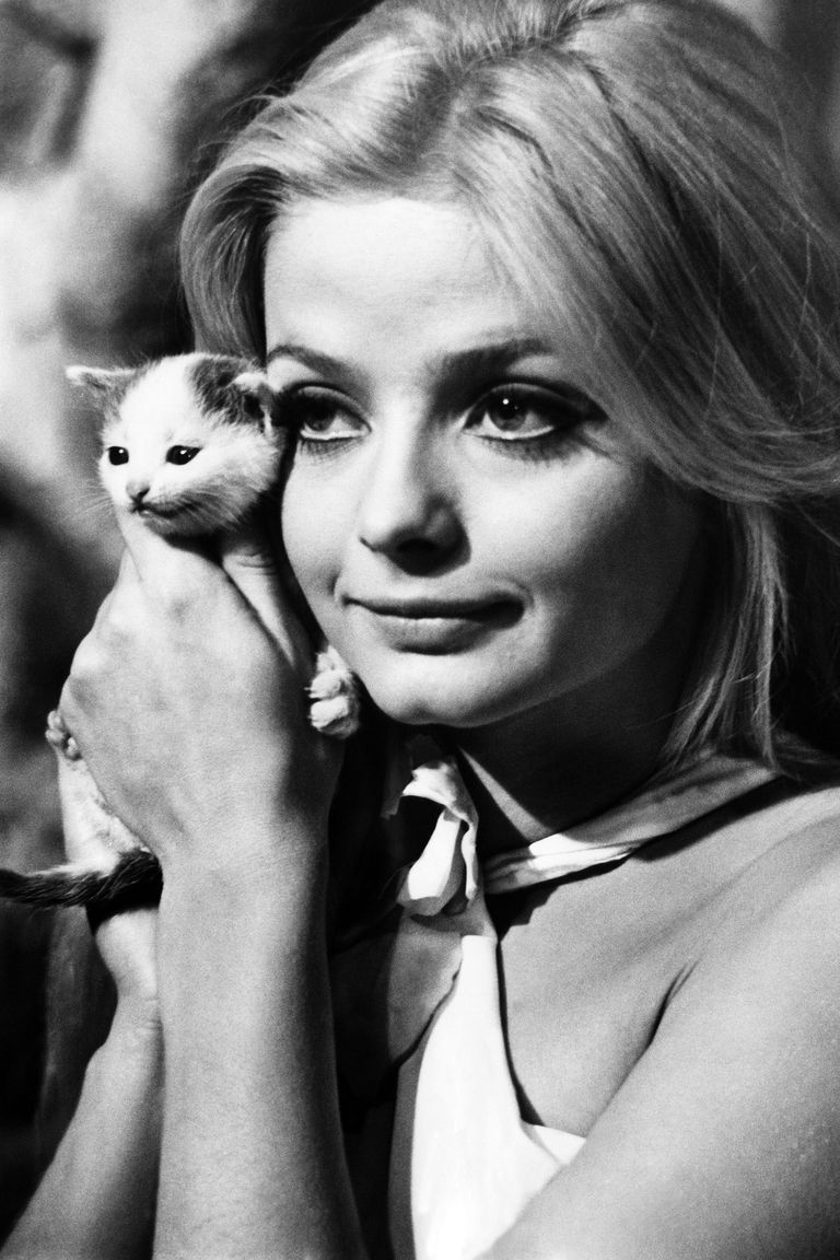The 50 Most Fabulous (and Famous) Cat Ladies of All Time