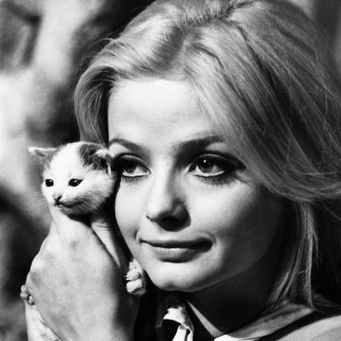 The 50 Most Fabulous (and Famous) Cat Ladies of All Time