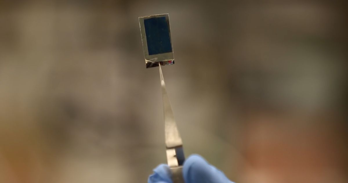 This Groundbreaking ‘Bionic Leaf’ Converts Sunlight and Water Into ...