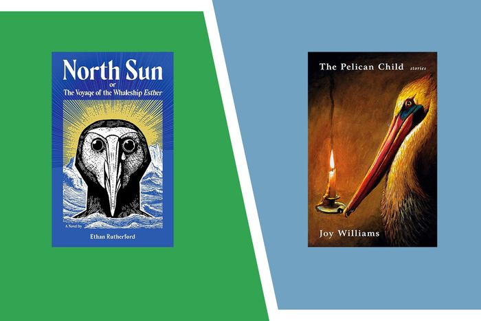 National Book Award Longlist 2025: Full List of Titles Here