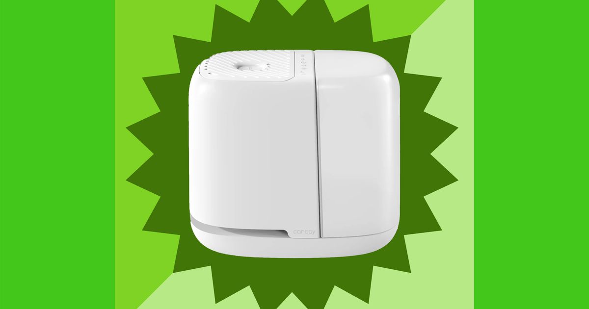 Dominique Pariso - Journalist Profile - Intelligent Relations