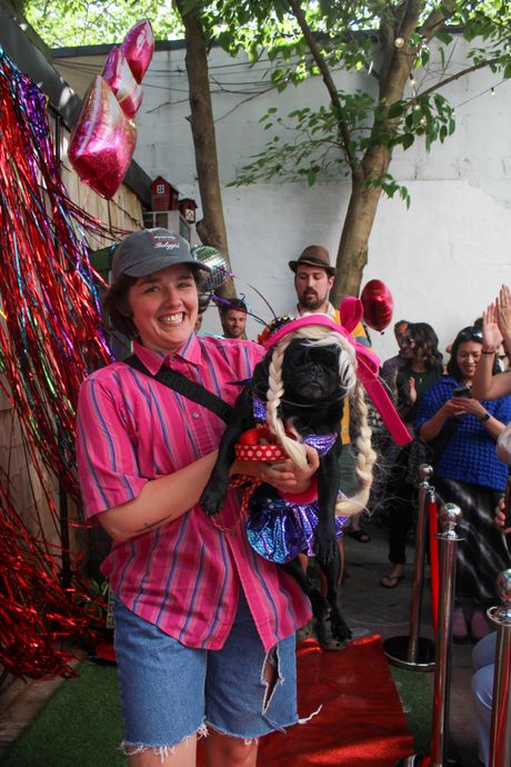 Photo Essay: Singers Bar’s Inaugural Doggy Drag Competition