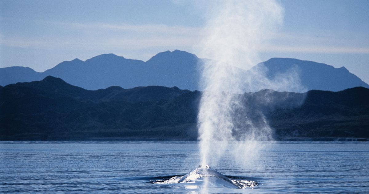 ‘Take a Deep Breath’ Is Advice That Works -- Science of Us