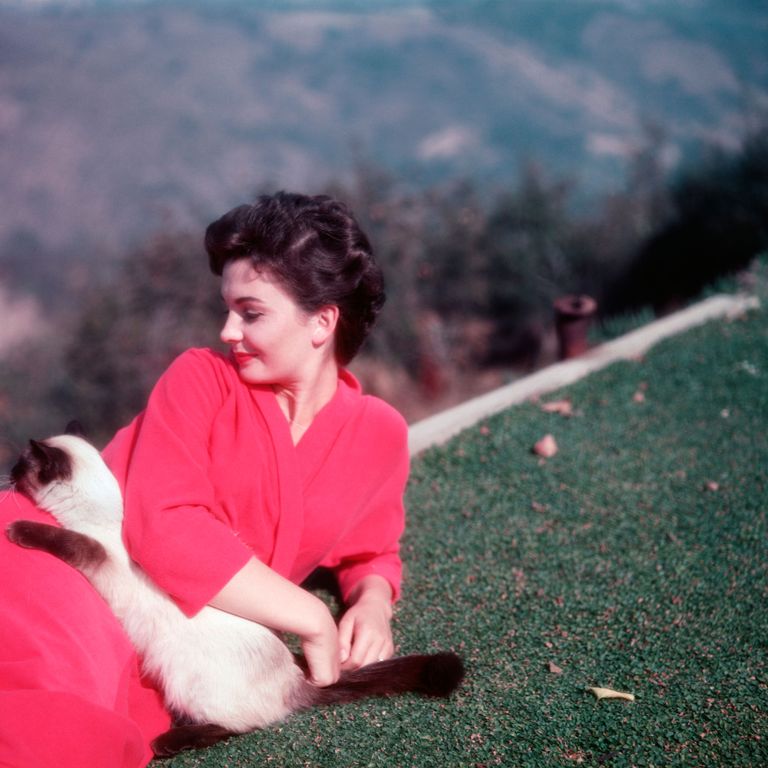 The 50 Most Fabulous (and Famous) Cat Ladies of All Time