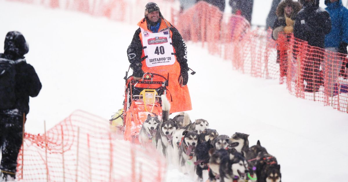 Thomas Waerner Wins the Iditarod Dogsled Race