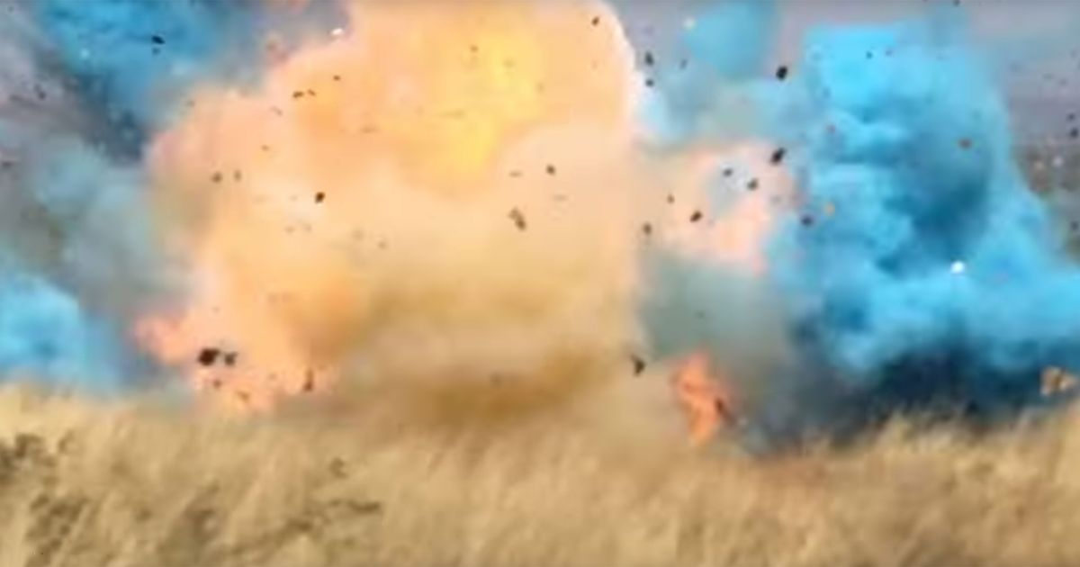 Watch Video of Gender-Reveal That Started Arizona Wildfire