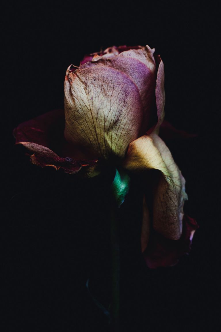 First Look: A Photographer Rethinks Female Beauty