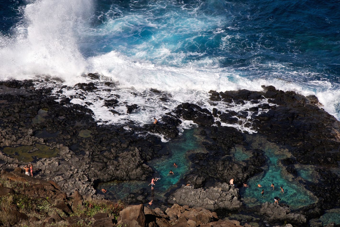 Honolulu’s Best Beaches for Surfing, Snorkeling, and More