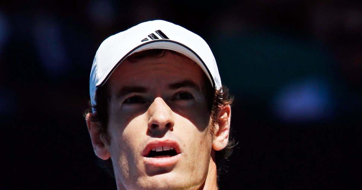 Male Gaze: Andy Murray’s Solid Pecs