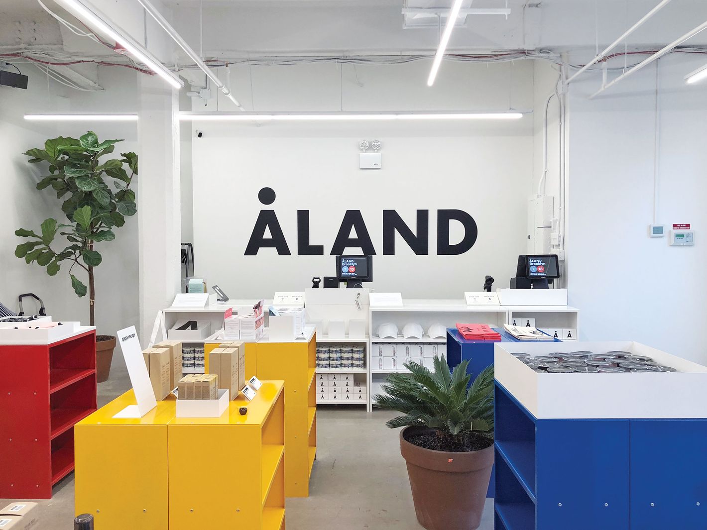 Goodwill Curated, Minimalist Lingerie, a Korean Concept Shop