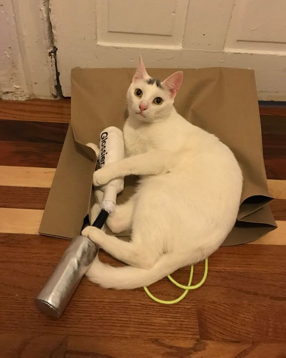 Review: Glossier’s BarkBox Dog Toys